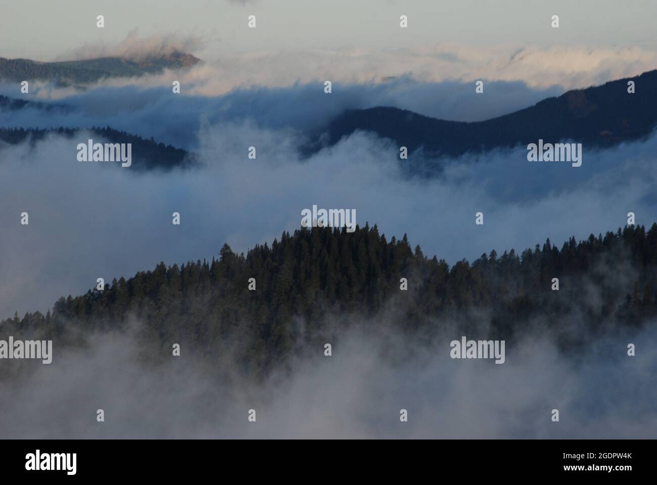 Clouds passing through a Cascade valley Stock Photo - Alamy