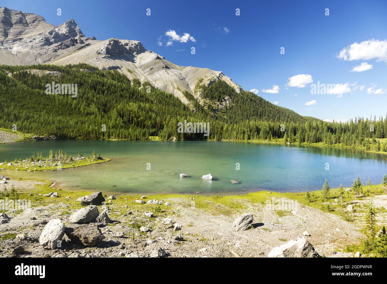 Scenic Landscape View Beautiful Elk Lake, Green Alpine Evergreen Forest ...