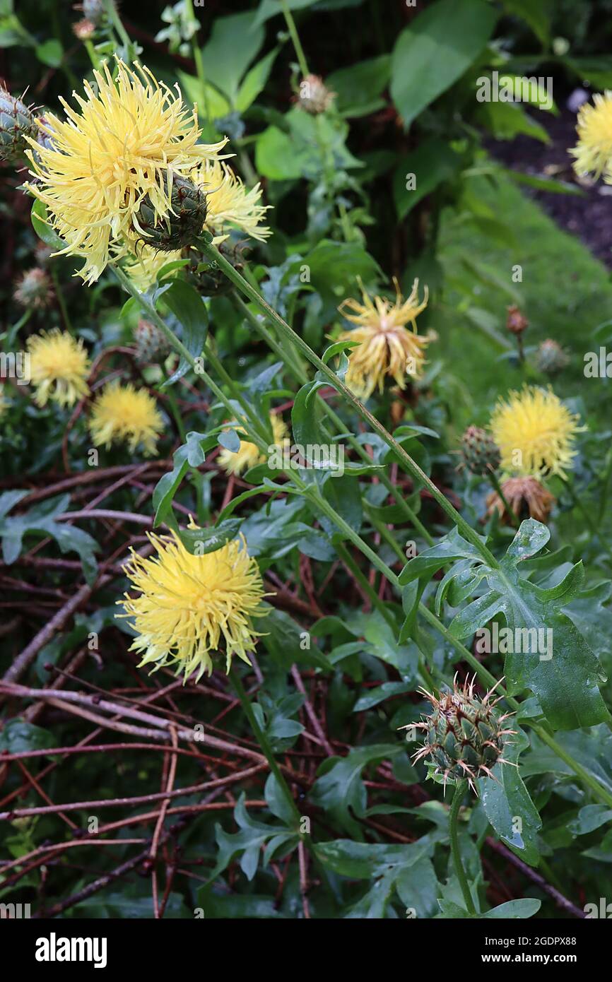 Salonitana hi-res stock photography and images - Alamy