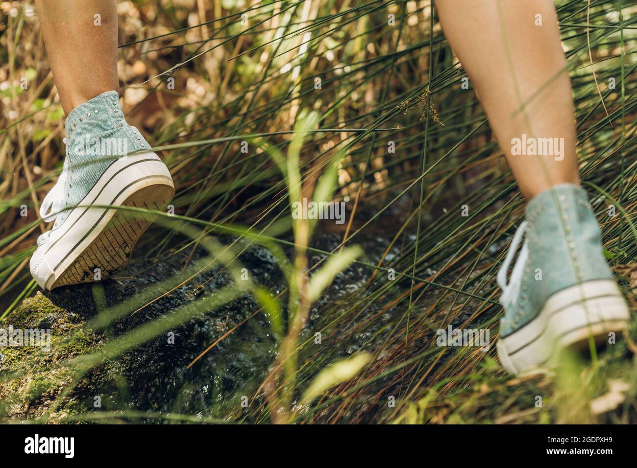 Detail of a woman's feet jumping over wet rocks in a field Stock Photo ...