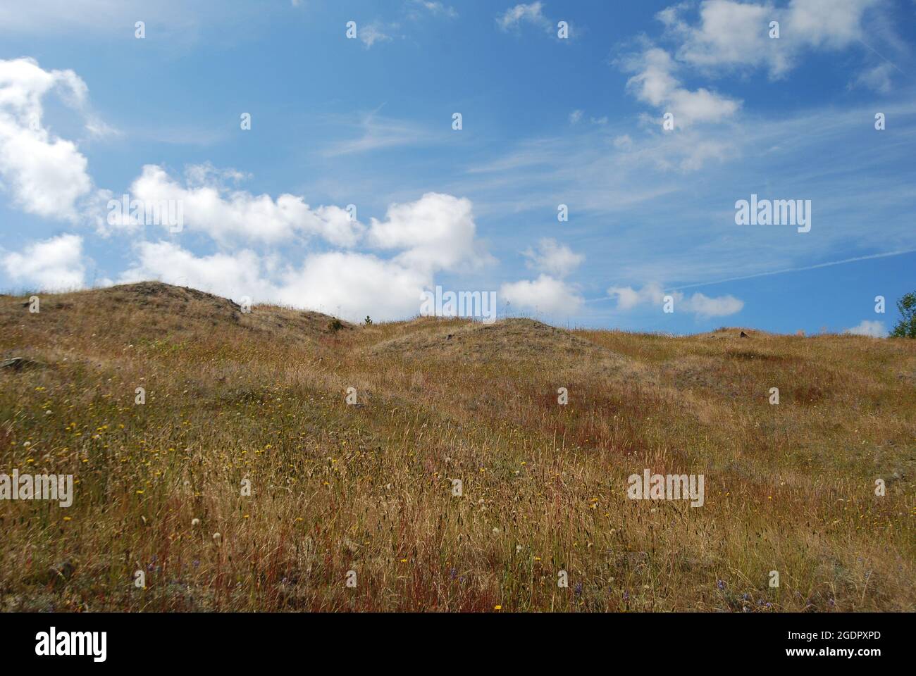 The hummocks trail at Mt. St. Helens Stock Photo - Alamy