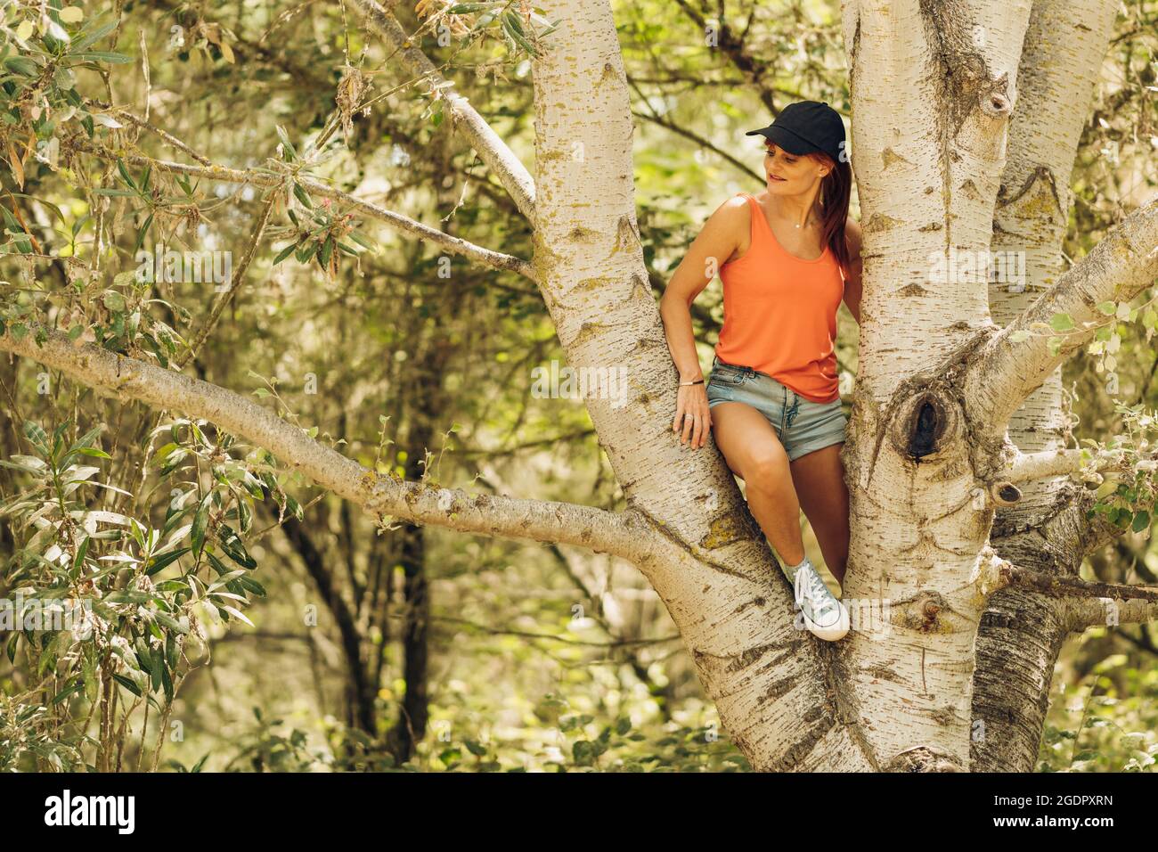 Woman climbing tree hi-res stock photography and images - Alamy
