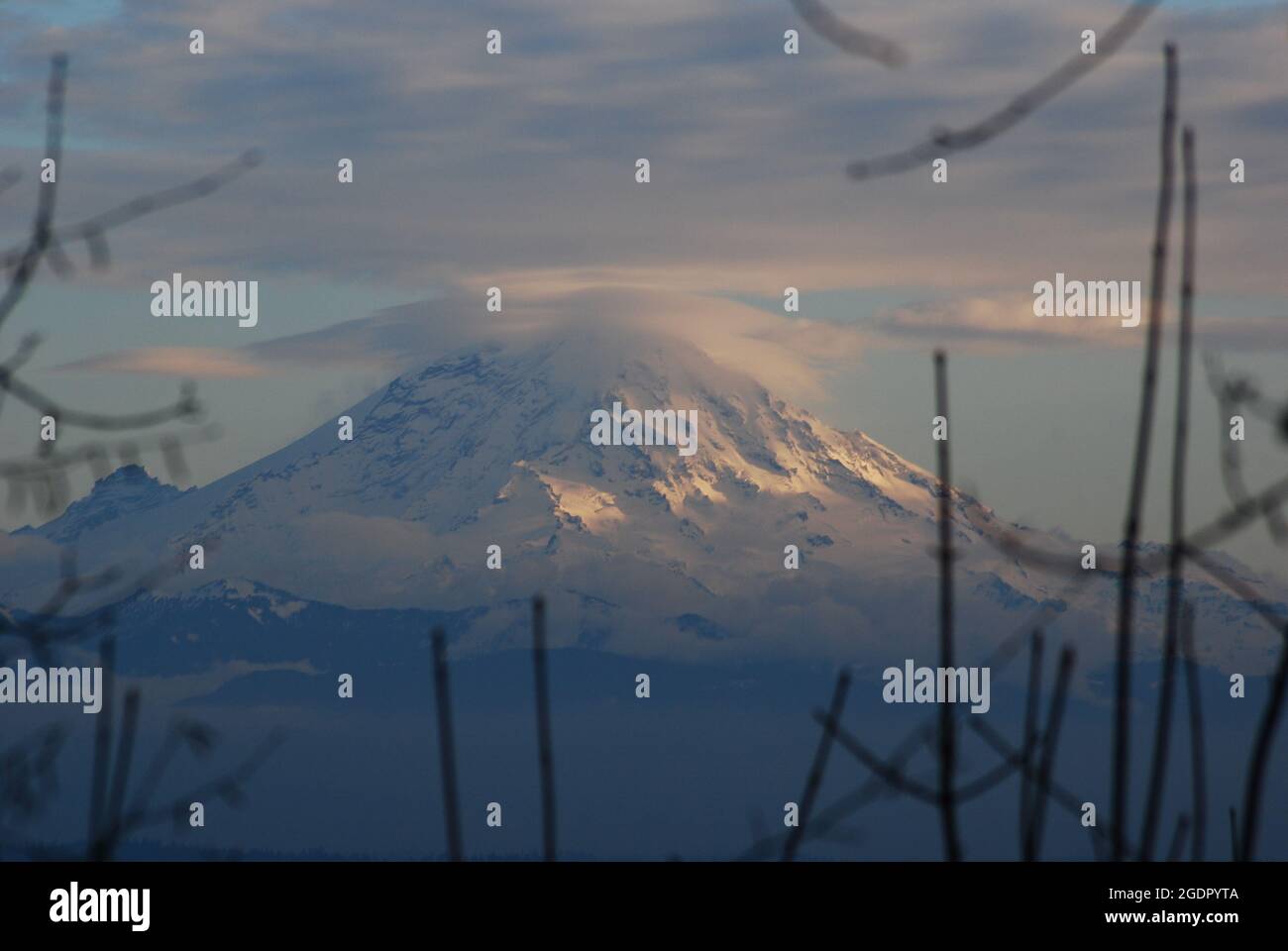 Mt. Rainier in Washington State Stock Photo - Alamy