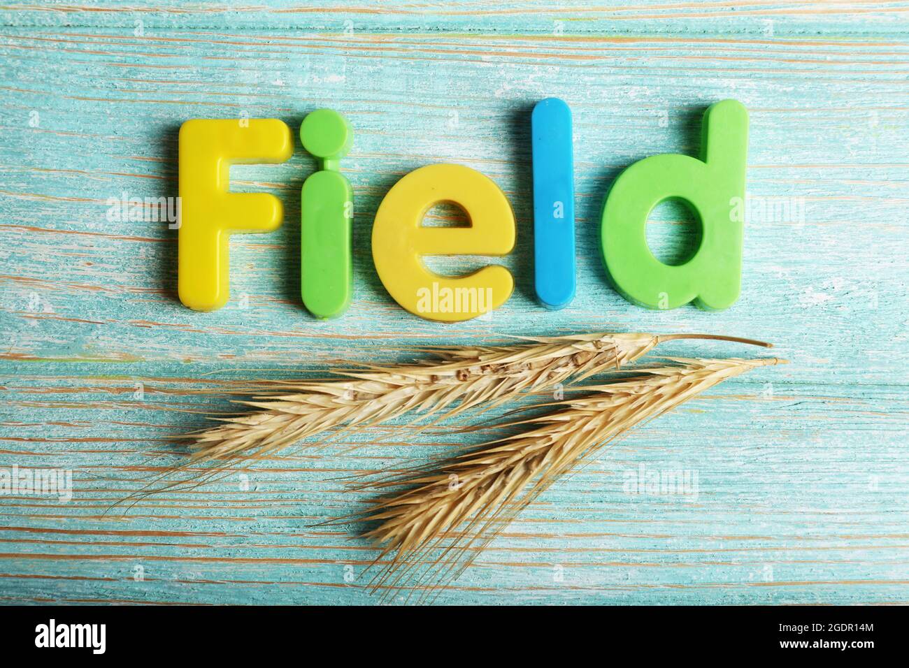 Field word formed with colorful letters on wooden background Stock ...