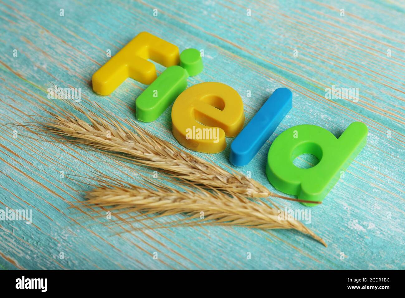 Field word formed with colorful letters on wooden background Stock ...