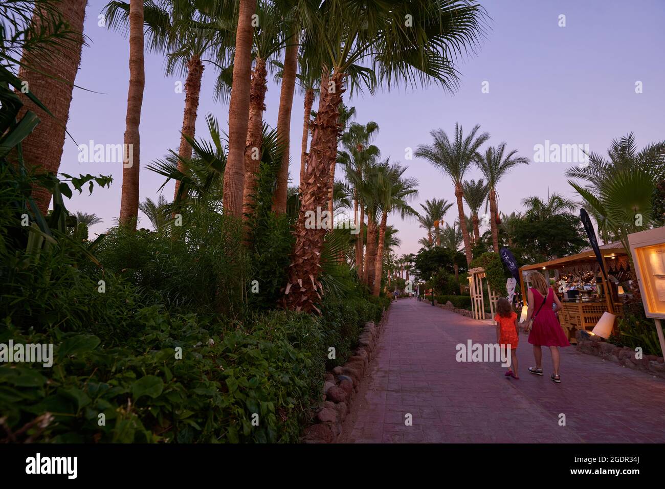 Pedestrian street with palm trees along the embankment. Promenade ...