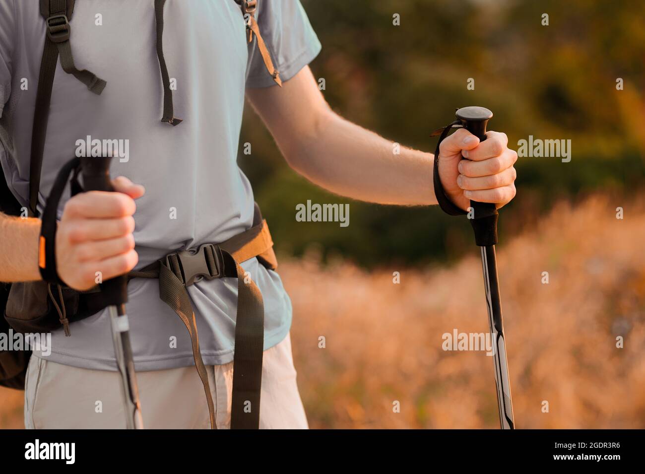 Walking sticks picture hi-res stock photography and images - Alamy