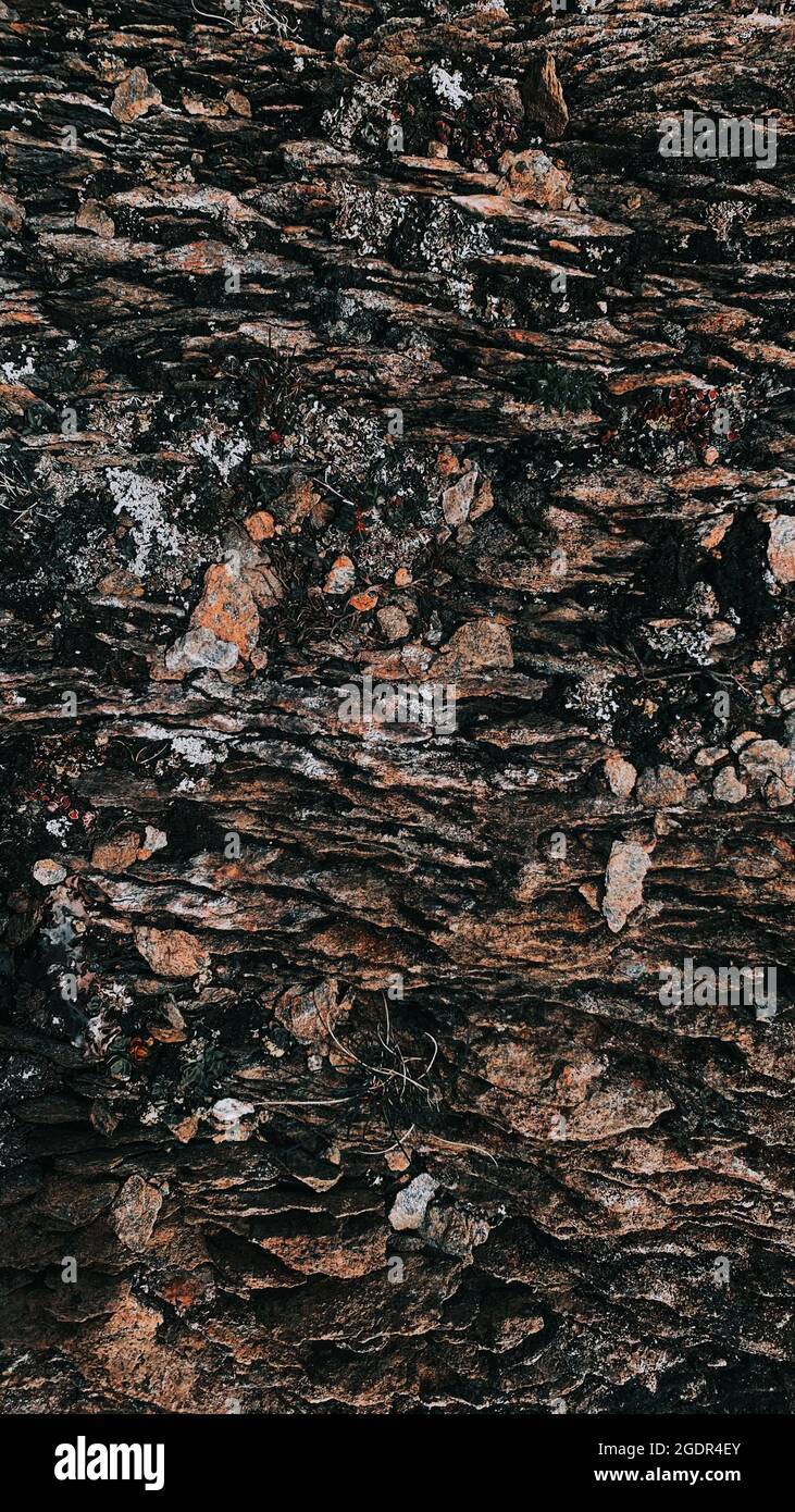 Closeup shot textured surface hi-res stock photography and images - Alamy