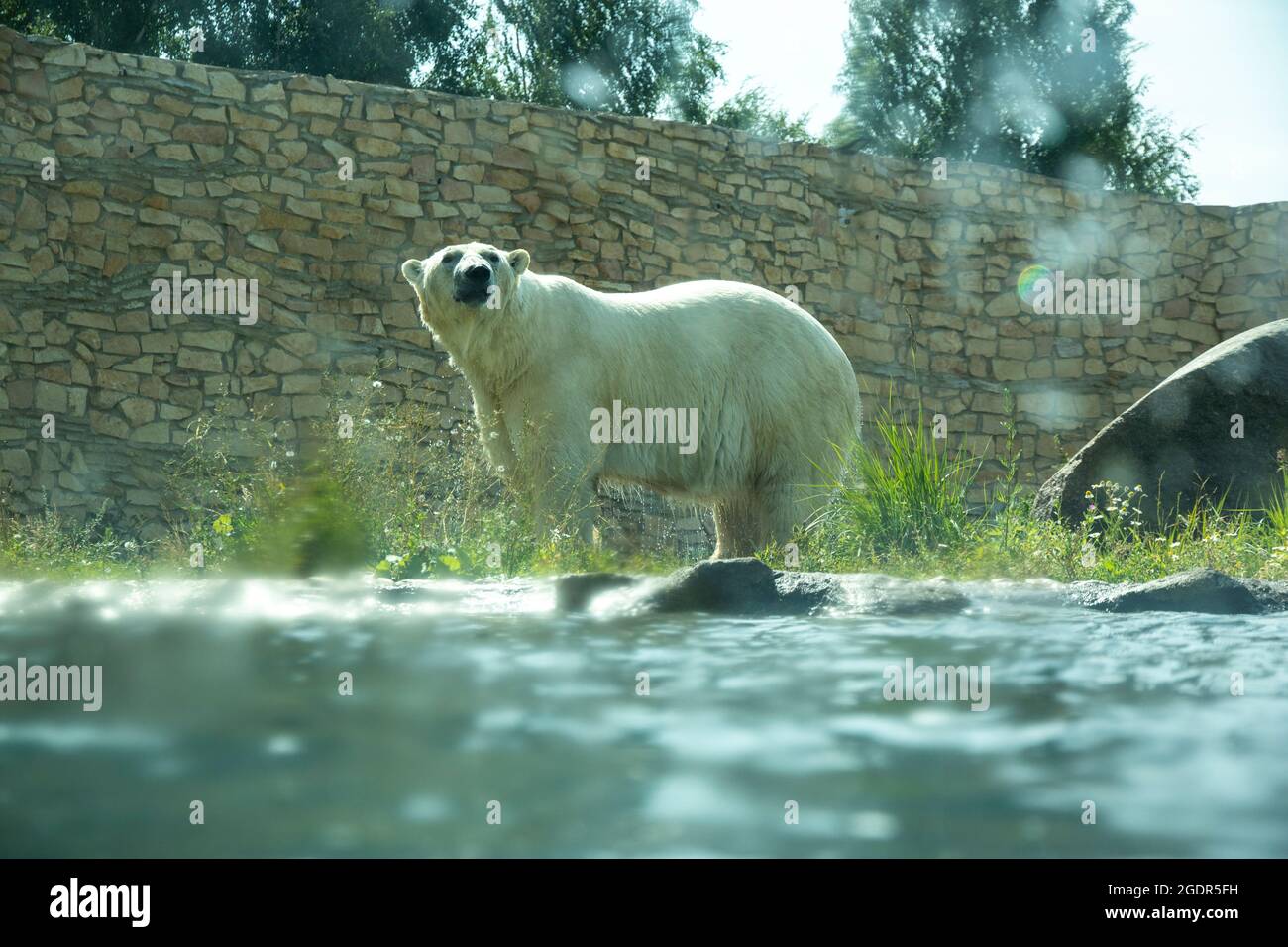 Tallinn zoo hi-res stock photography and images - Alamy