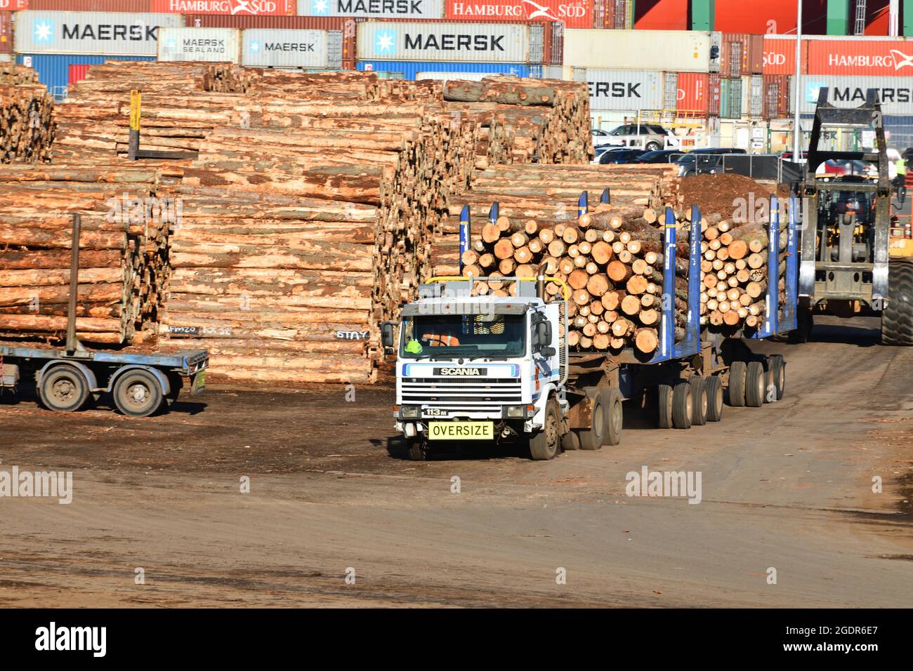Lyttleton, New Zealand, July 24, 2021: A truck carries Pinus radiata ...