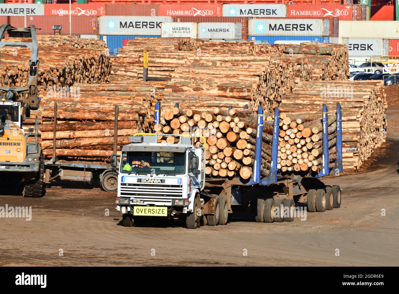 Lyttleton, New Zealand, July 24, 2021: A truck carries Pinus radiata ...