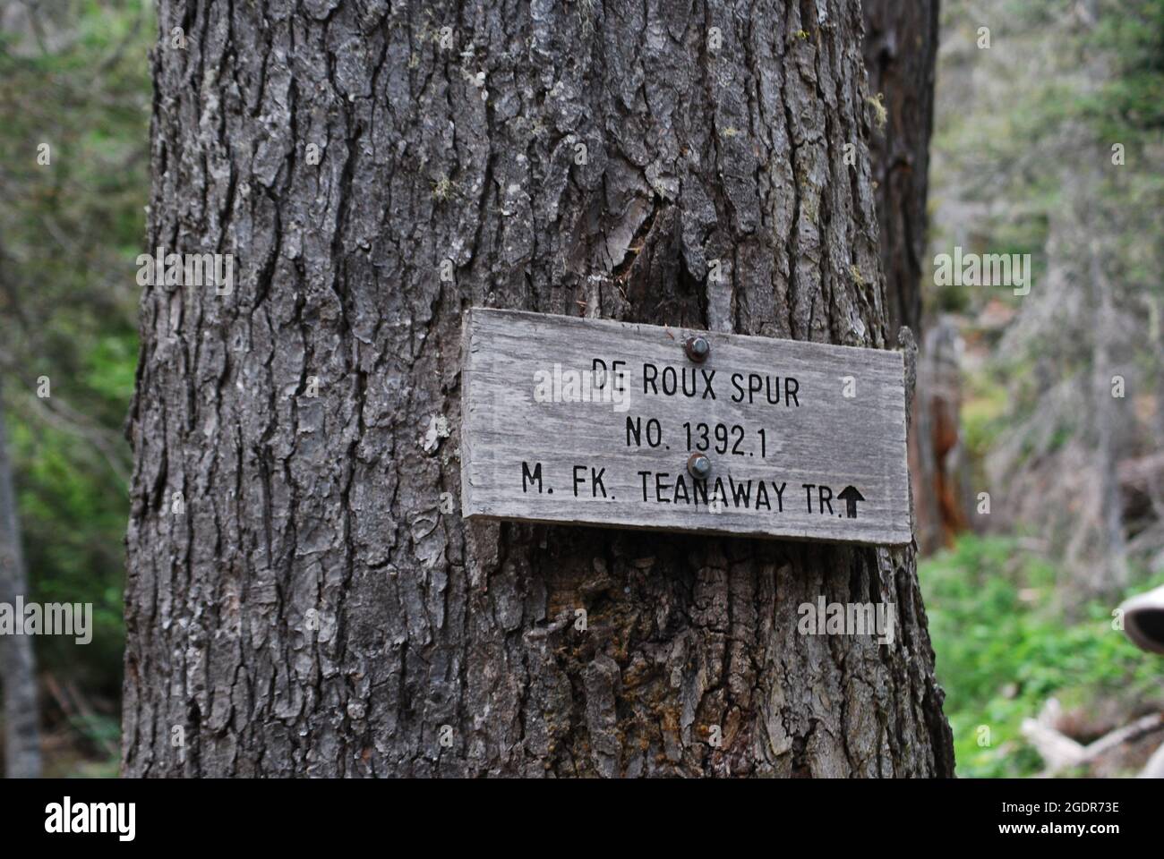 Middle fork trail hi-res stock photography and images - Alamy