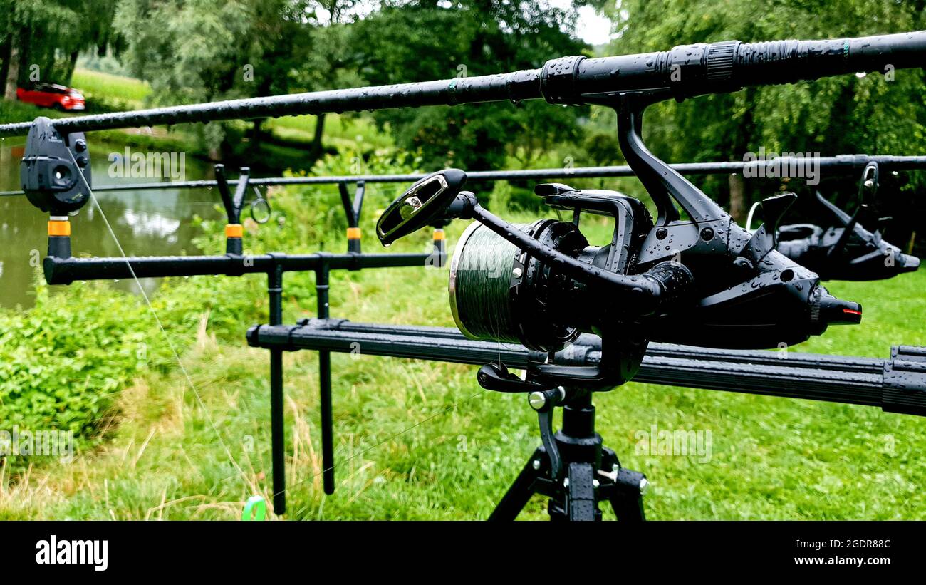 Fish and pay lake hi-res stock photography and images - Alamy