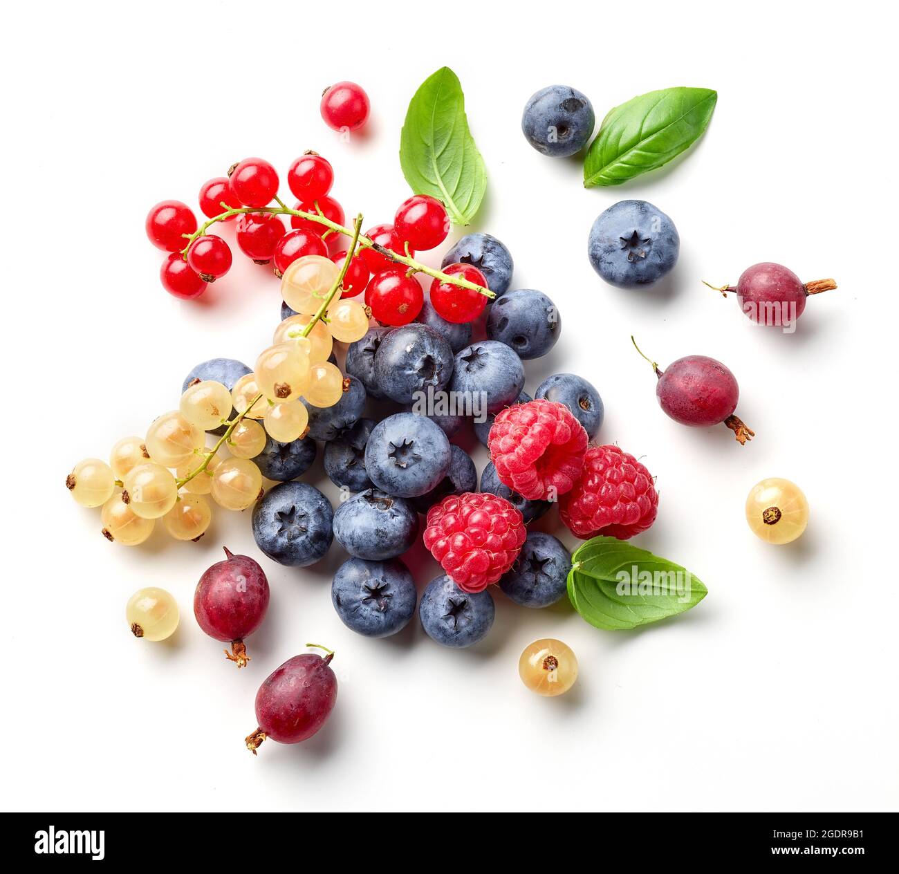 composition of fresh berries and green leaves isolated on white ...