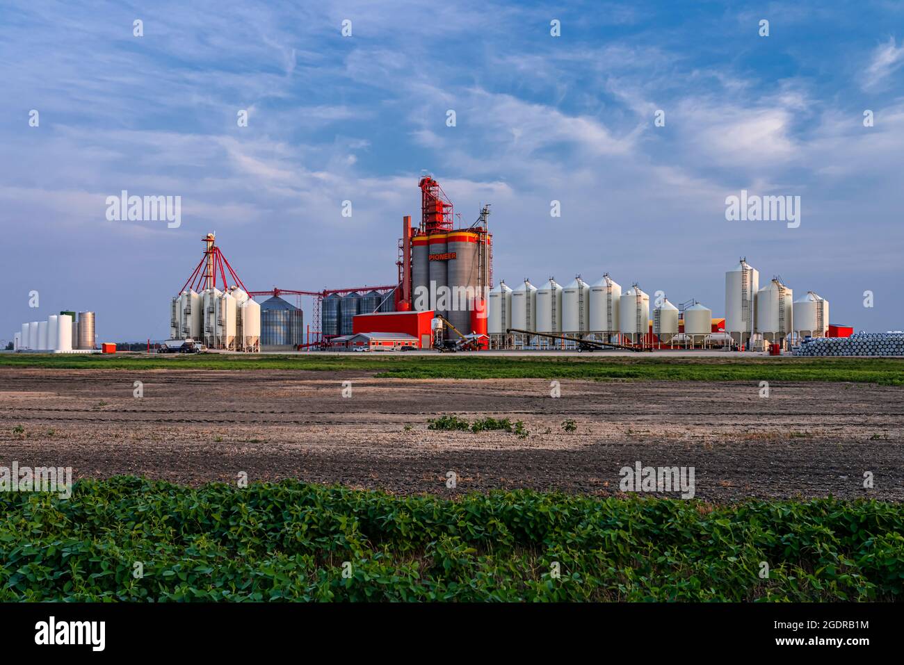 The Pioneer inland grain terminal at Dauphin, Manitoba, Canada Stock ...