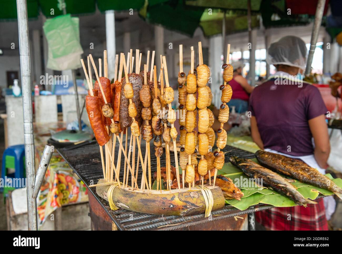 Fried Suri worms Rhynchophorus palmarum on a market in Iquitos, Peru ...