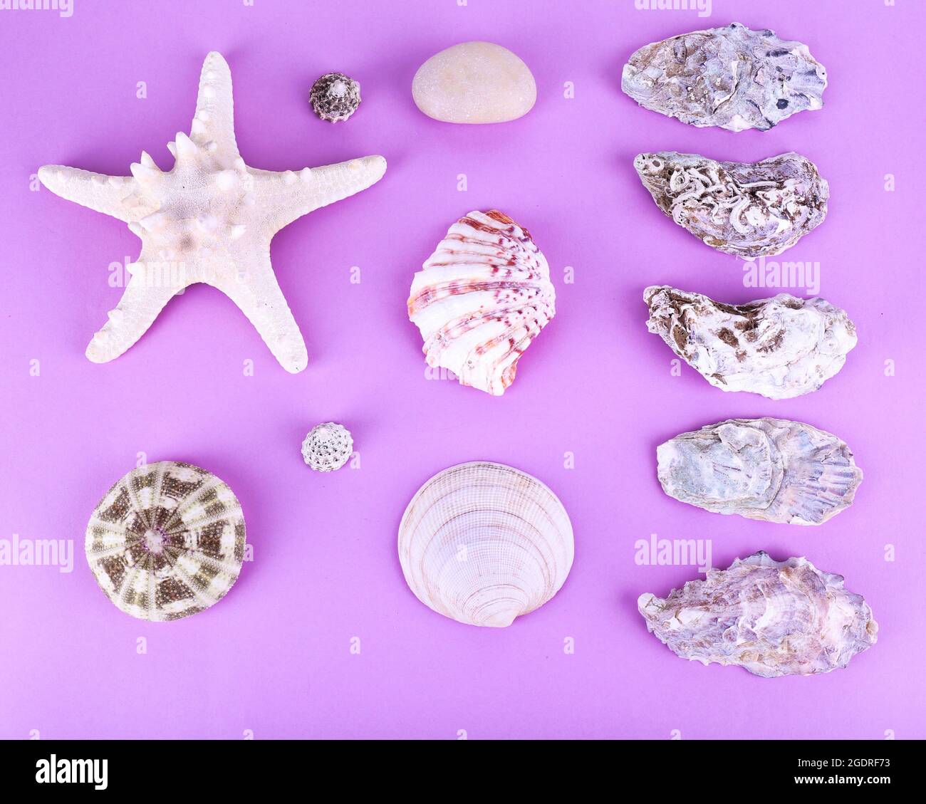 Sea souvenirs on purple background Stock Photo - Alamy