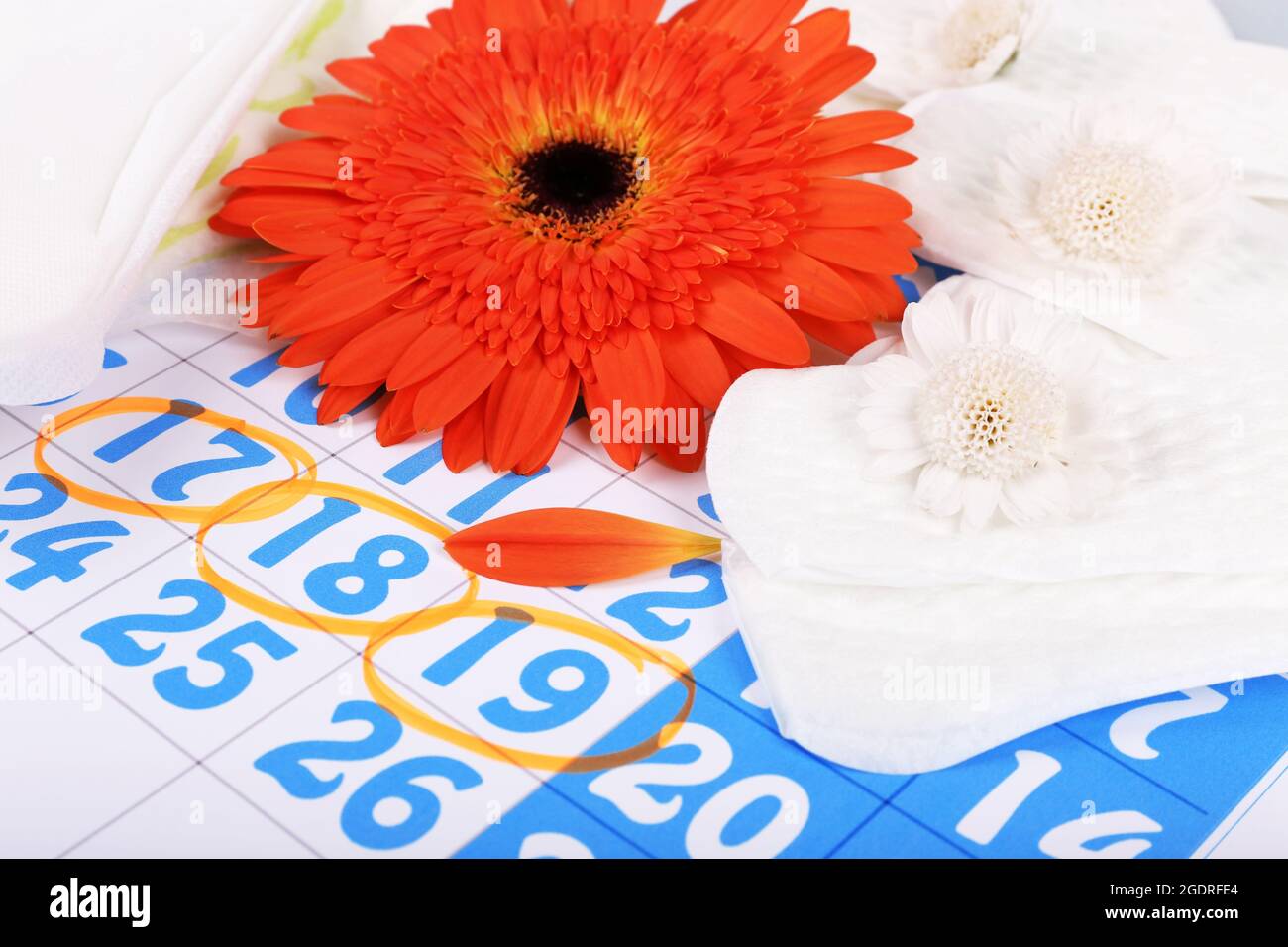 Sanitary pads and orange Gerber on blue calendar background Stock Photo ...