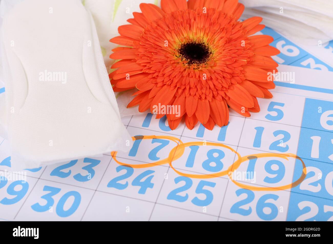 Sanitary pads, orange Gerber on blue calendar background Stock Photo ...