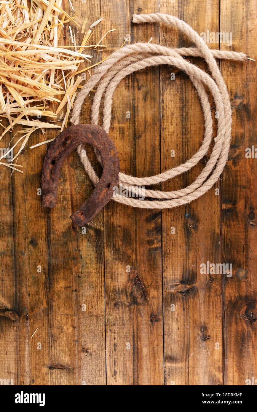 American West still life with old horseshoe and cowboy lasso Stock ...
