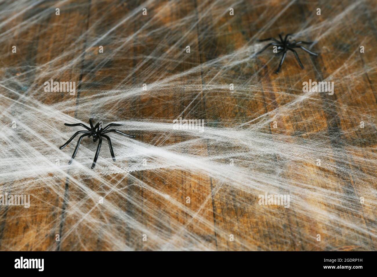 Cobweb with spider on wooden background Stock Photo - Alamy