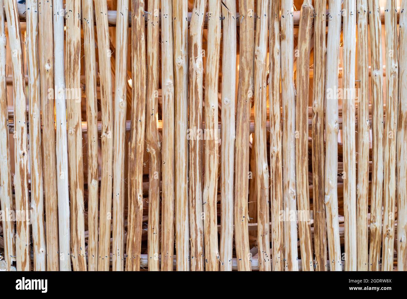 Row of bamboo sticks hi-res stock photography and images - Alamy