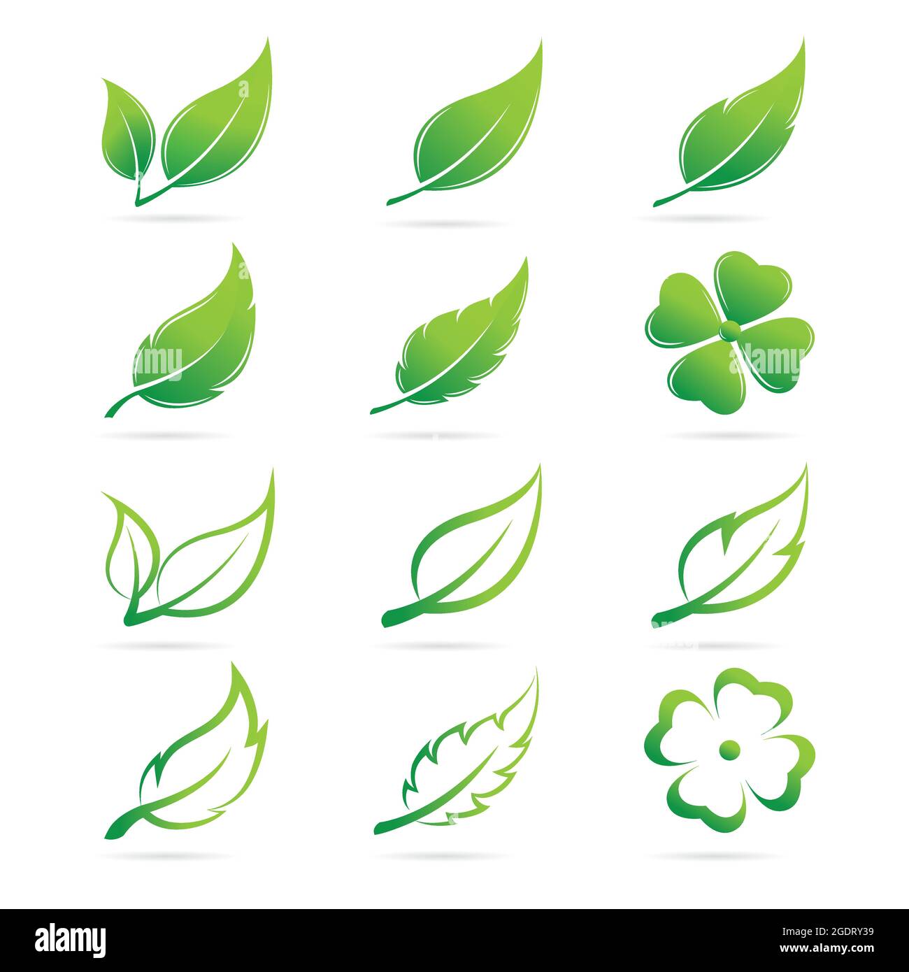 Vector leaves icon set on white background. Easy editable layered ...