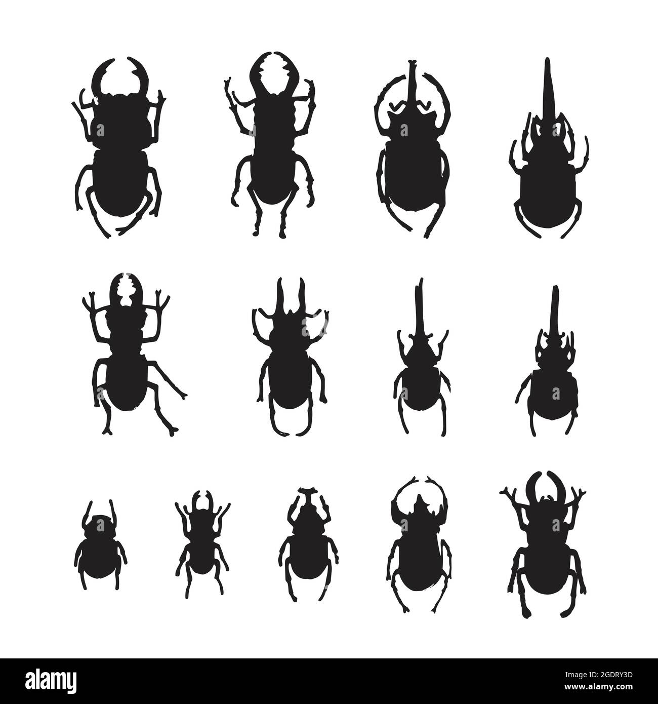 Vector group of insects on white background. Beetle. Easy editable ...
