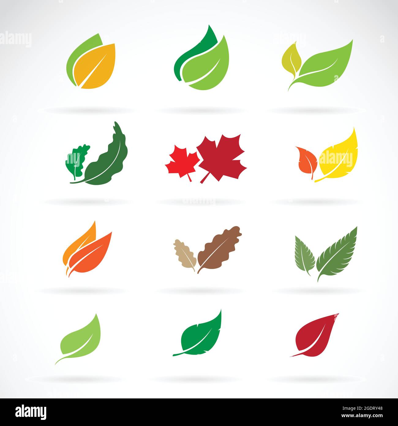 Vector set of color autumn fallen leaves on white background. Easy ...