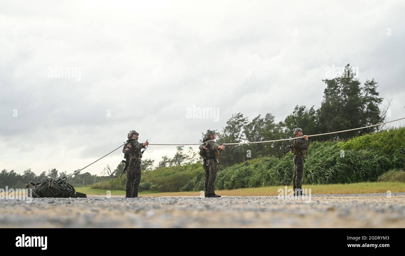 U.S. Marines with 3d Reconnaissance Battalion, 3d Marine Division ...