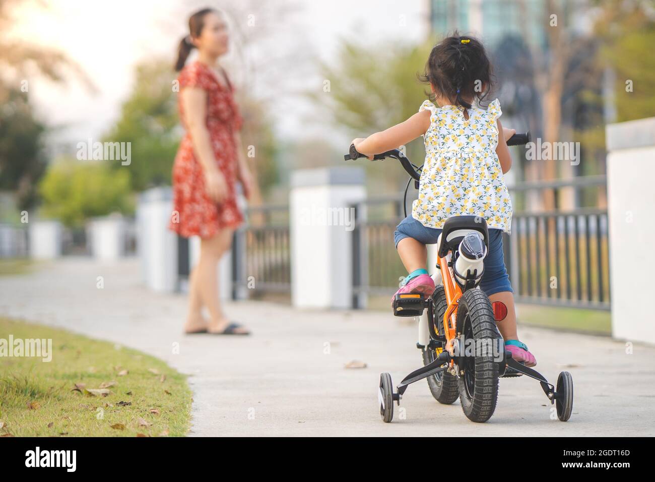 A rear view of a cute little girl riding a bicycle at the park Stock ...