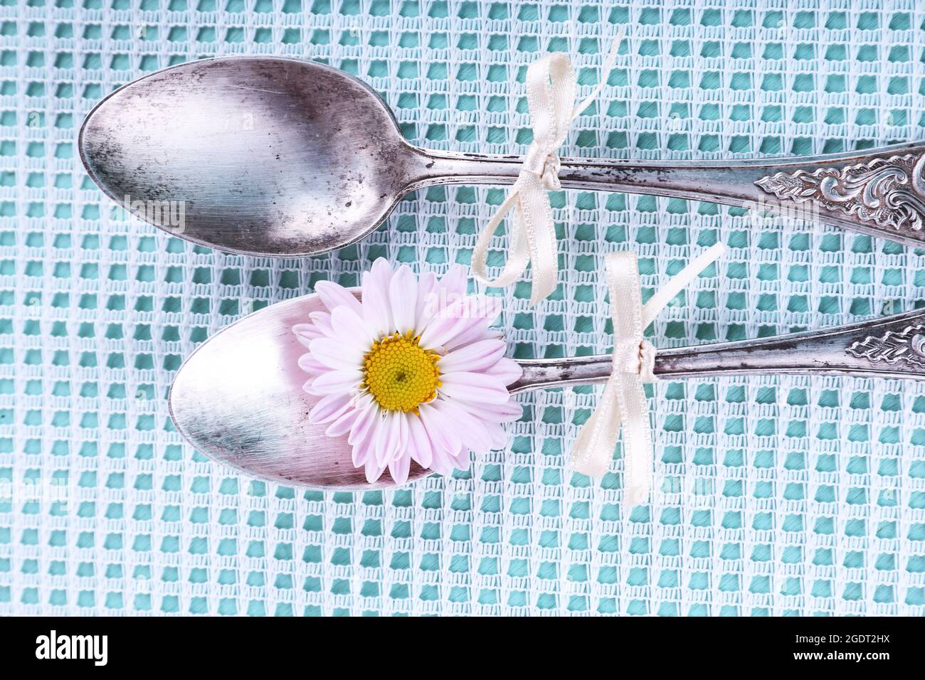 Metal spoons and camomile on white fabric background Stock Photo - Alamy