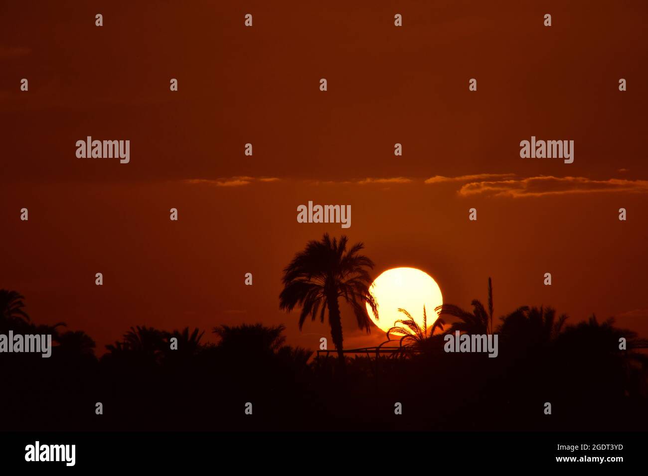 Summer sunset in egypt hi-res stock photography and images - Alamy