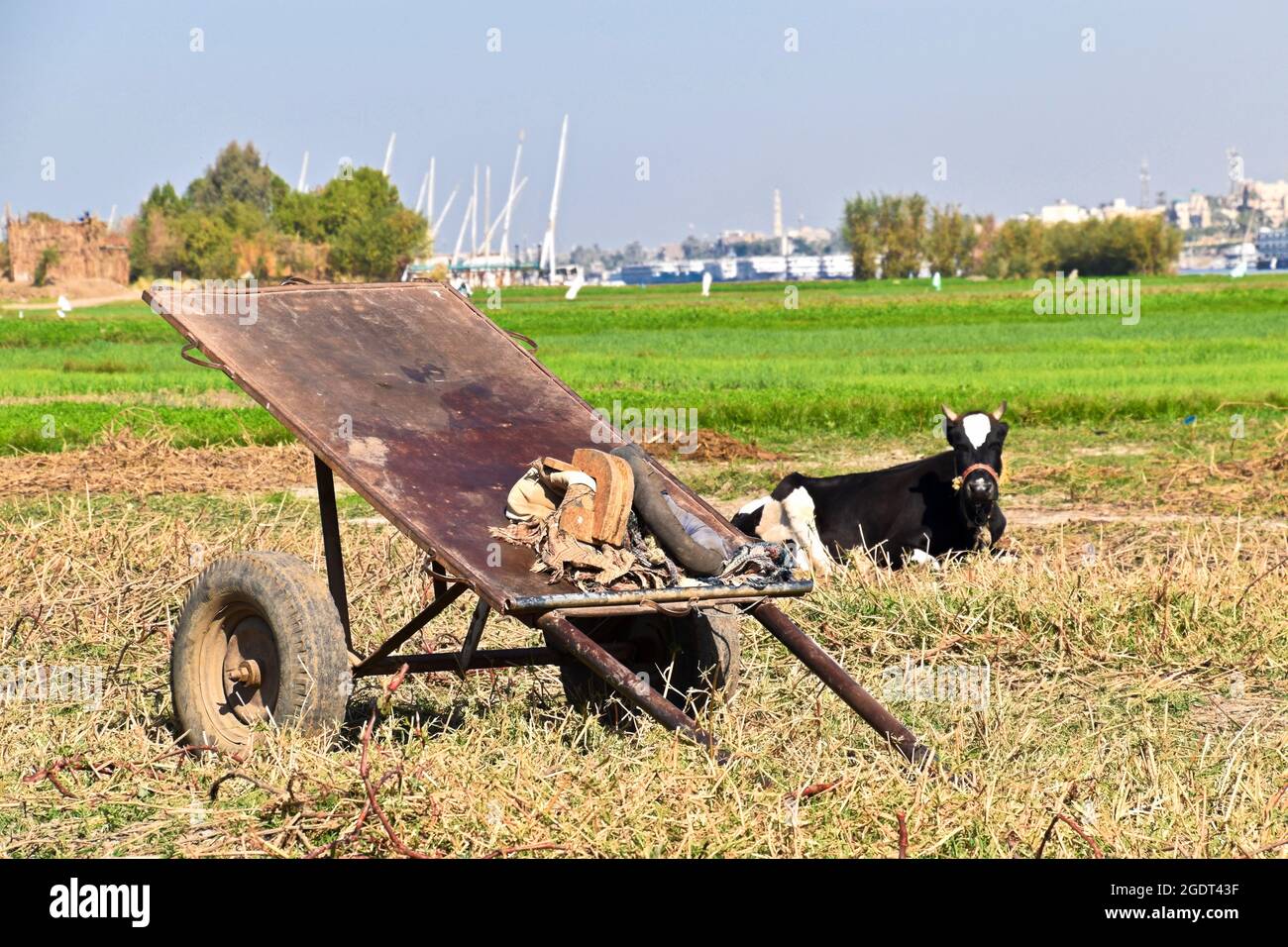 Farmer donkey nile egypt hi-res stock photography and images - Alamy