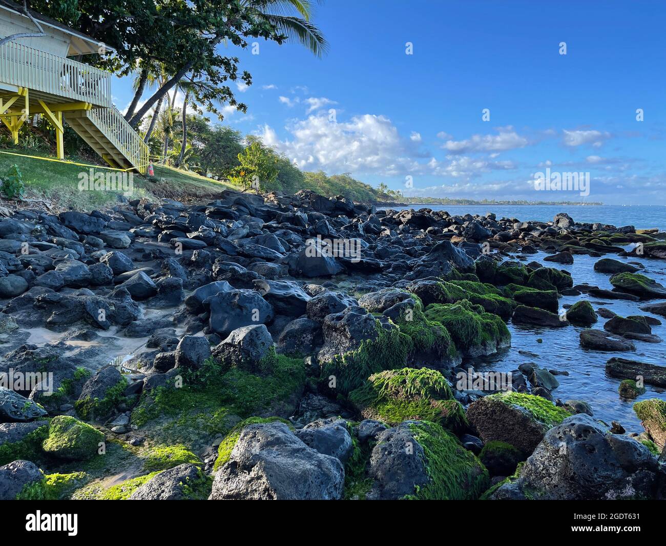 Moss-covered volcanic rocks cover a beach in Lahaina, Hawaii Stock ...
