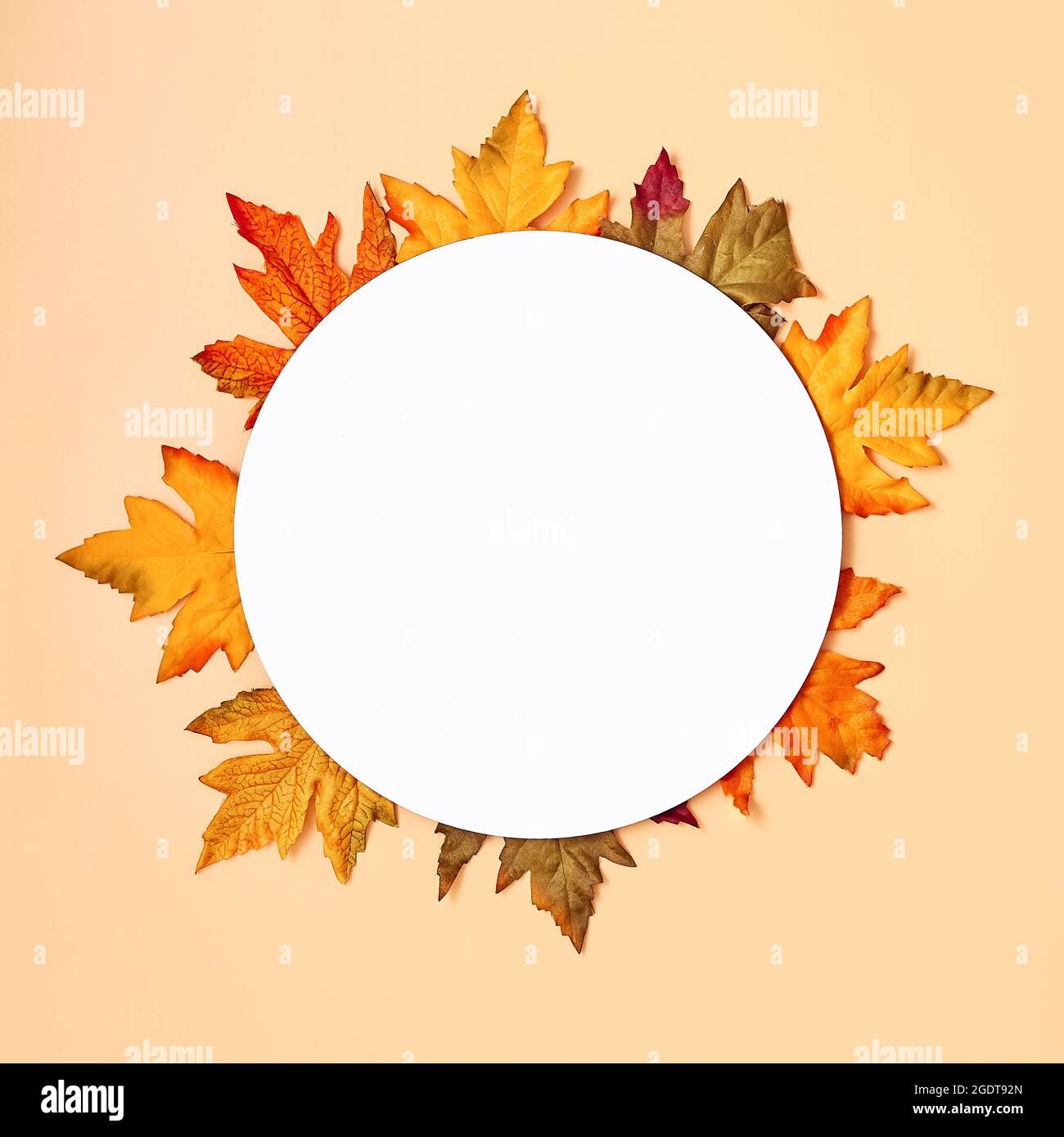 Nature september and october background , Great season texture with ...