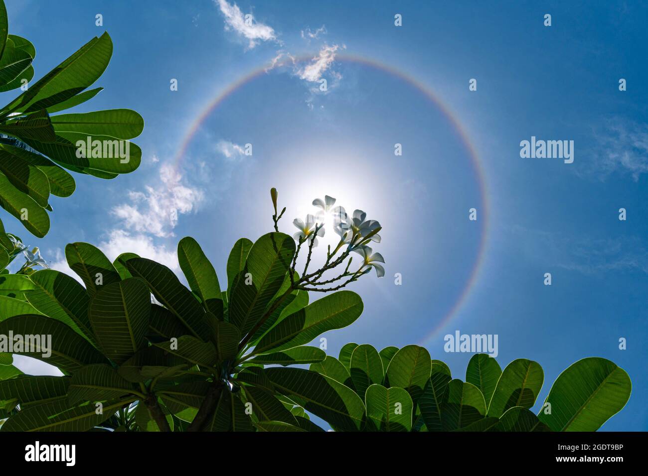 Halo glow effect hi-res stock photography and images - Alamy