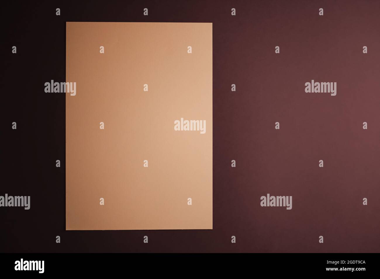 Blank A4 paper, beige on dark background as office stationery flatlay ...