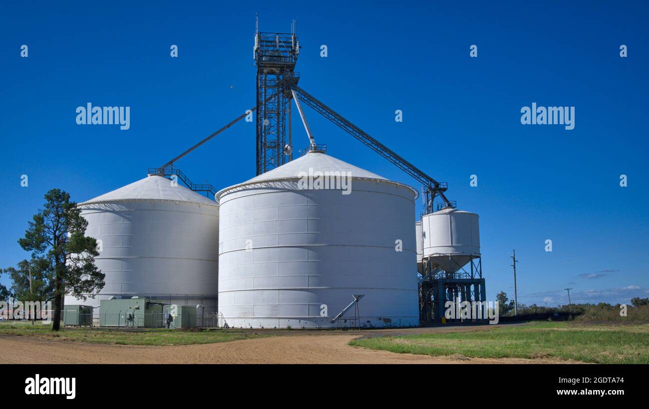 Big white silos in a New South Wales Australia country town Stock Photo ...