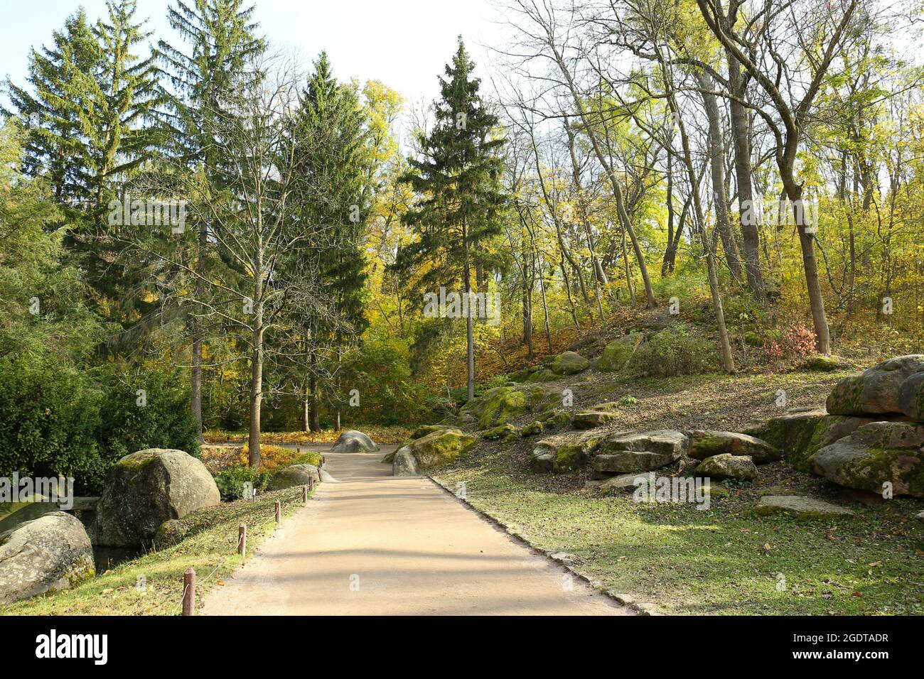 Beautiful trees in park Stock Photo - Alamy