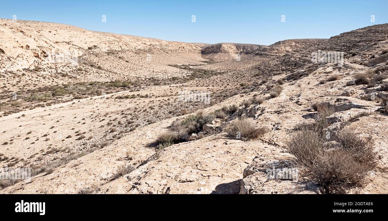 panorama of Nahal Wadi Noked stream bed in the Negev Desert in Israel ...
