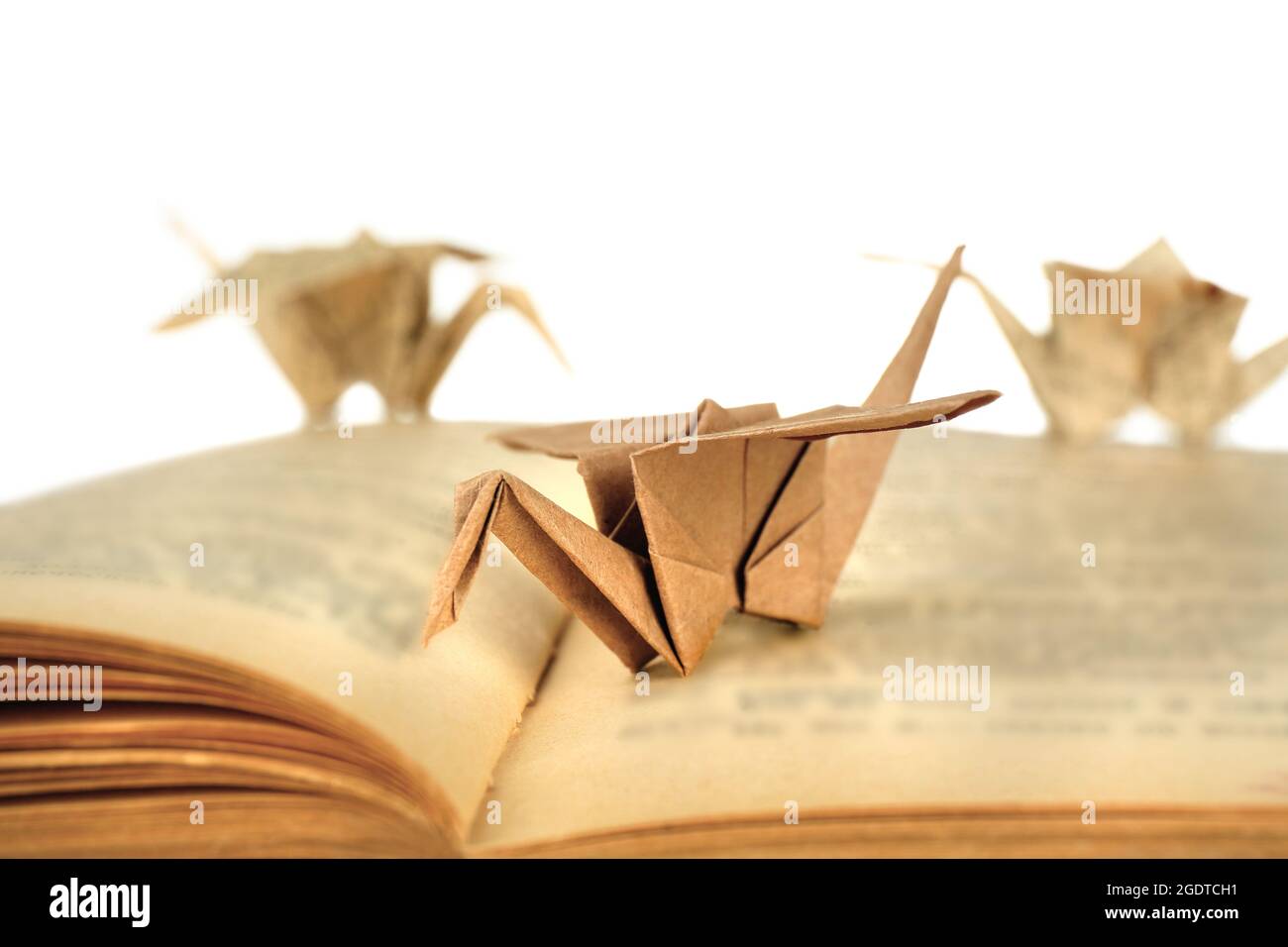 Origami cranes on old book, on white background Stock Photo - Alamy
