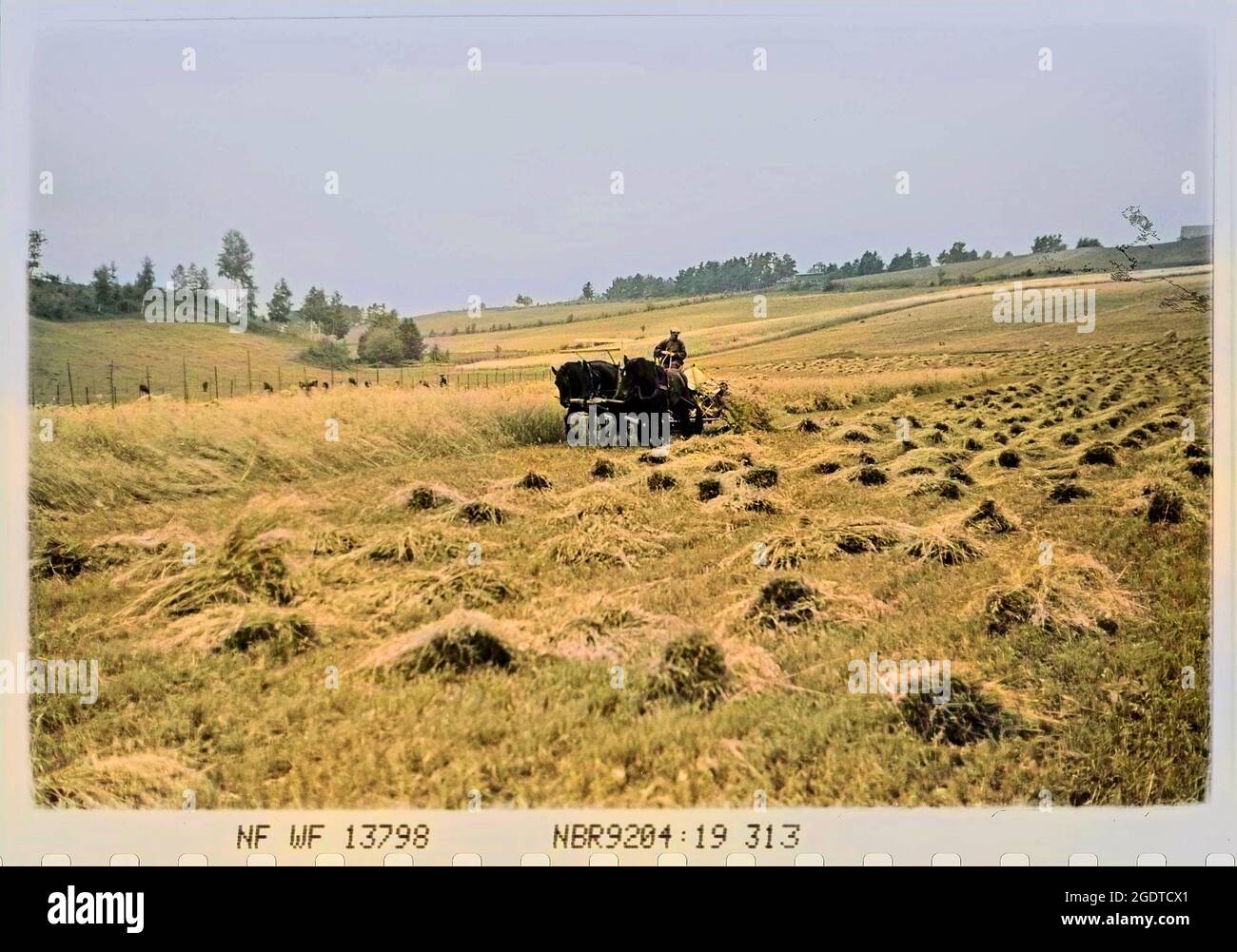 American cartographic history hi-res stock photography and images - Alamy