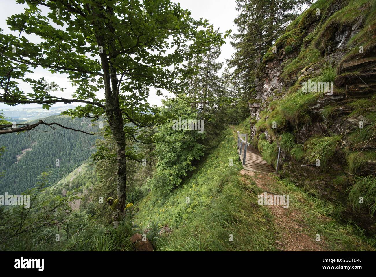 landscape in southern germany on the belchen, the belchen is a 1414m ...