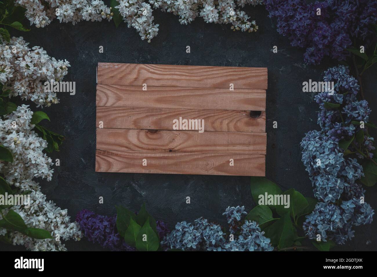 Background for greeting card greeting beloved woman wedding invitation ...