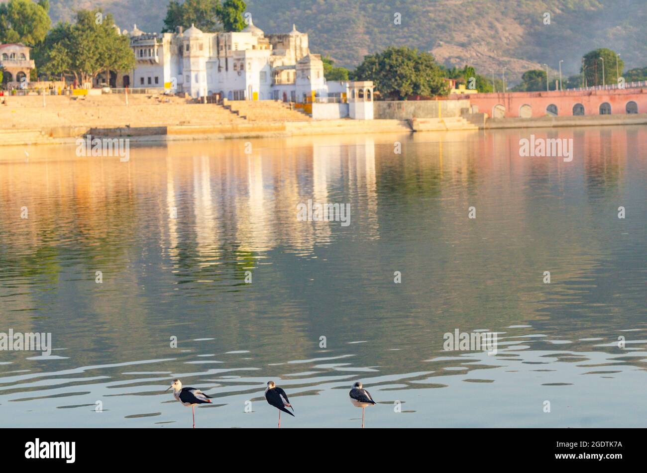 The Holy City of Pushkar India Stock Photo - Alamy