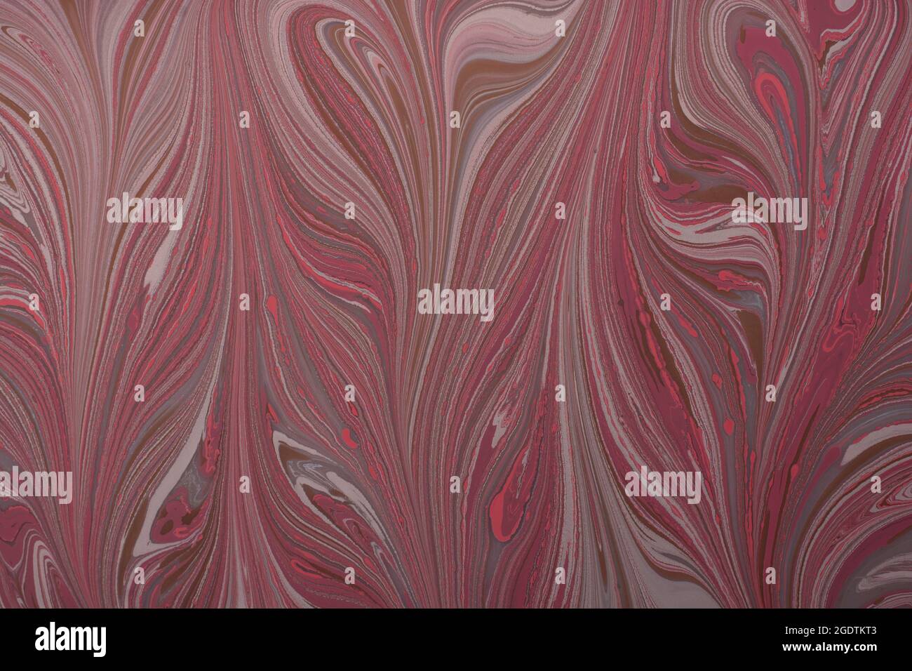 A unique mixture of liquid, distorted pink and white patterns in an oil ...