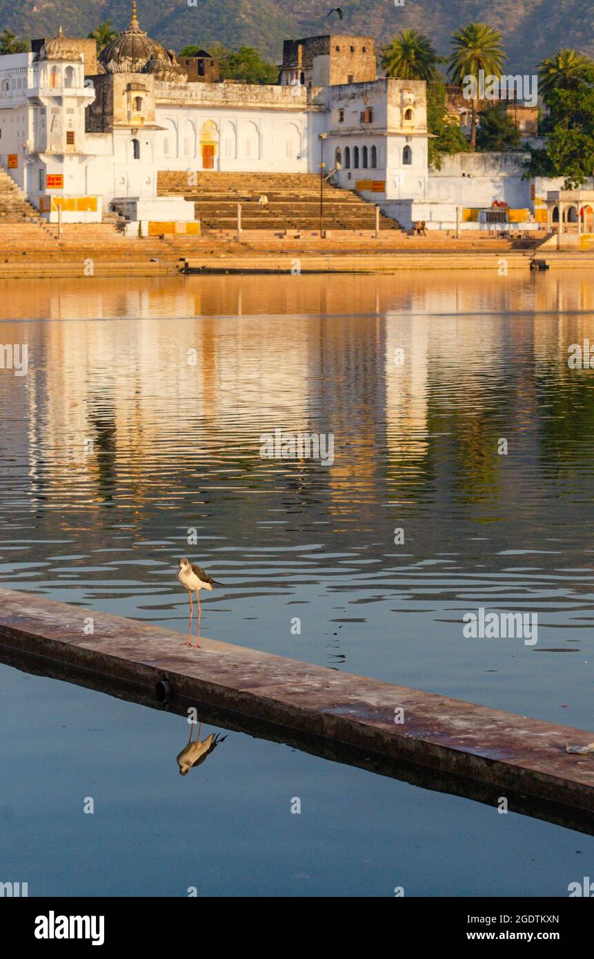 The Holy City of Pushkar India Stock Photo - Alamy