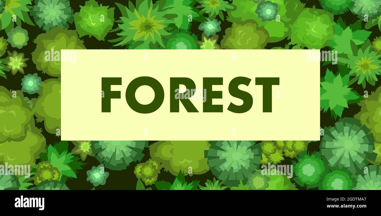 Top view of the forest landscape from a height. Green summer scenery ...