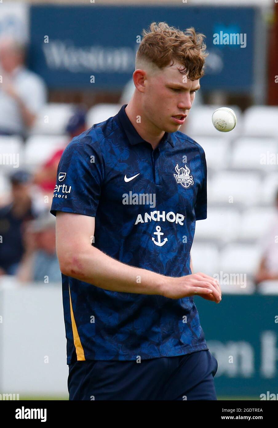 Matt revis hi-res stock photography and images - Alamy